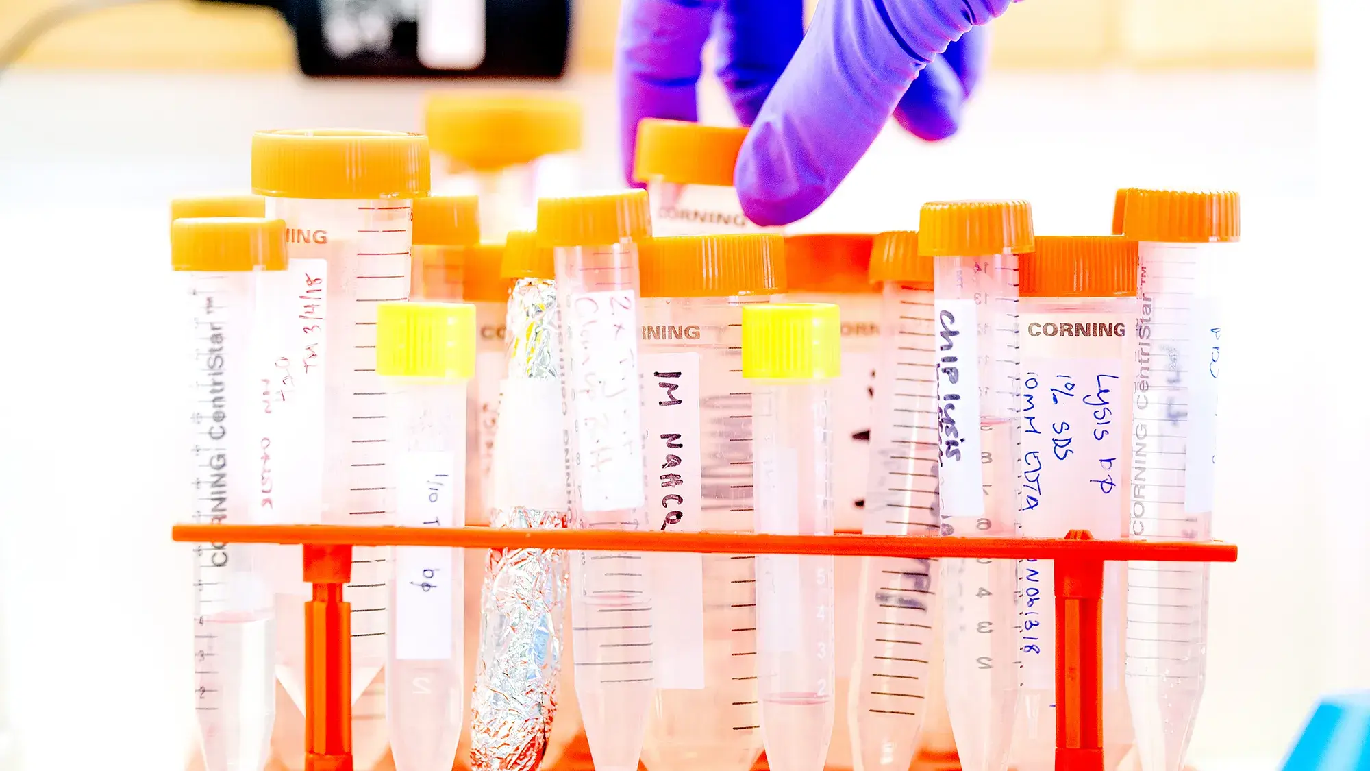 Publications - Marson Lab